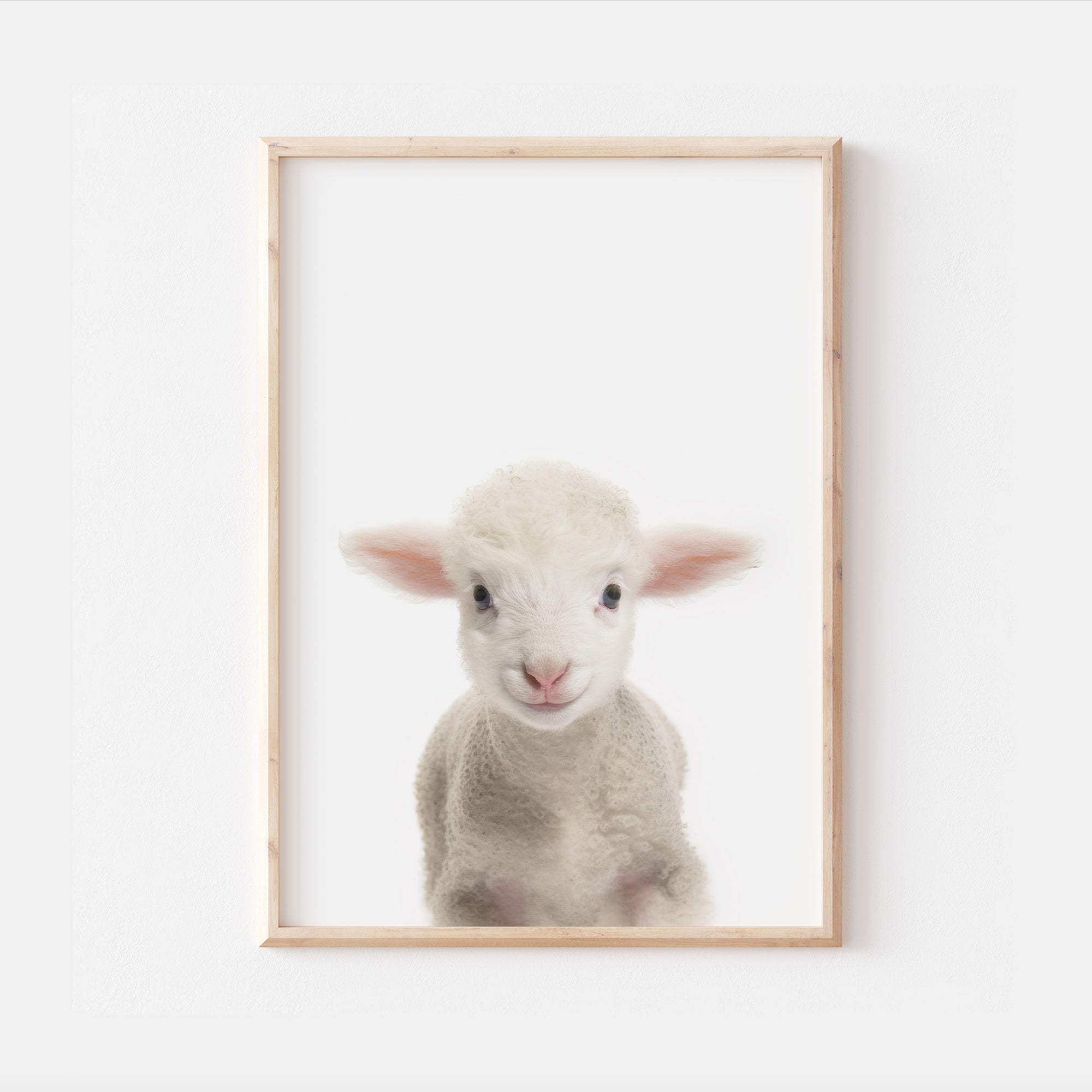 Baby Lamb – Funky Print Factory
